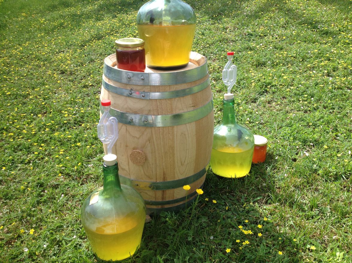 Petit guide complet sur l'Hydromel - Faire ses premières expériences de fermentation chez-soi